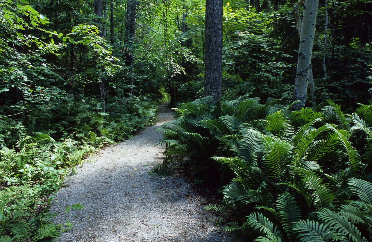 Sentiers pédestres dans le centre du Témiscamingue, Québec